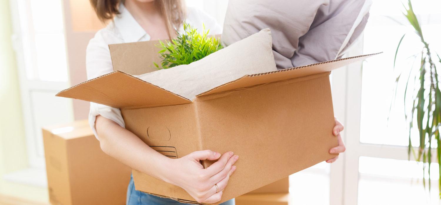 Kitchen Stuff Plus Blog | Home Page - Kitchen Stuff Plus